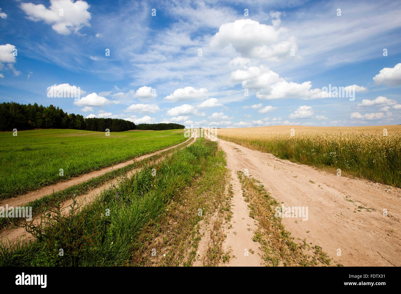 Spring road , countryside Stock Photo - Alamy