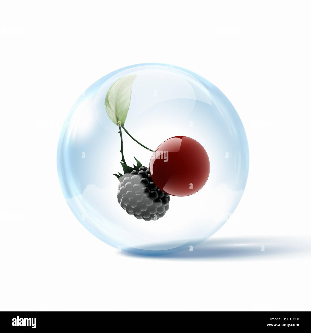 Inside a berry Cut Out Stock Images & Pictures - Alamy