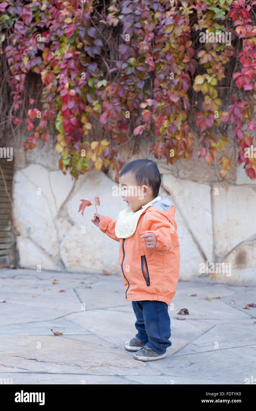Happy Chinese baby boy standing in front of Boston Ivy, shot in Beijing ...
