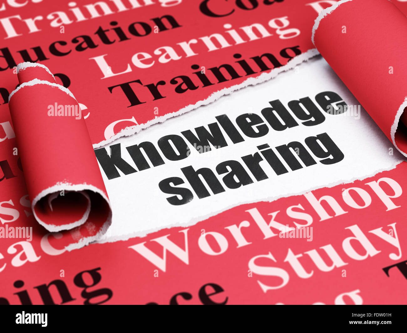 Learning concept: black text Knowledge Sharing under the piece of torn ...