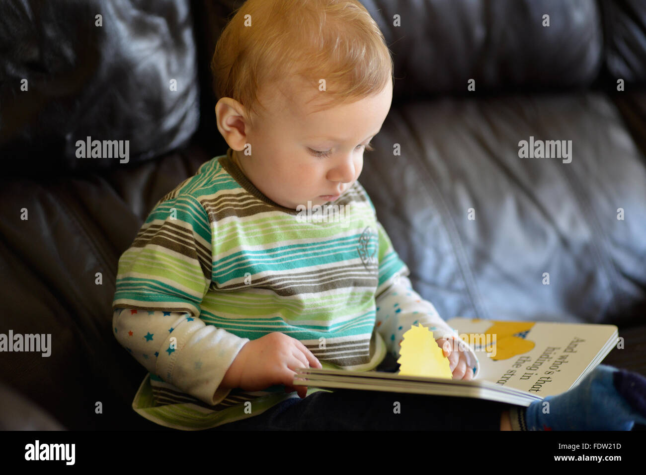 Baby looking at a book Stock Photo - Alamy