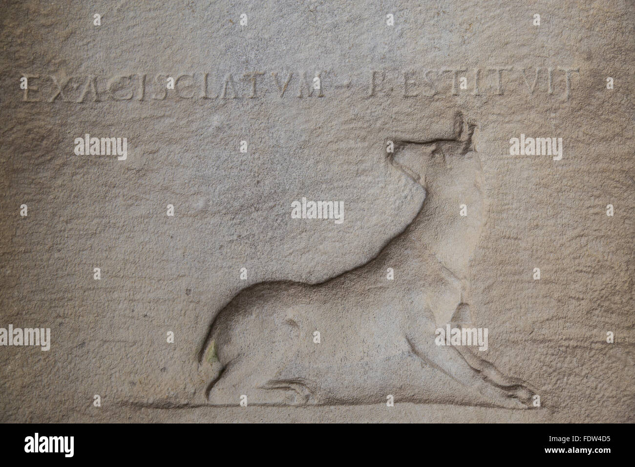 carved relief of a dog Stock Photo - Alamy
