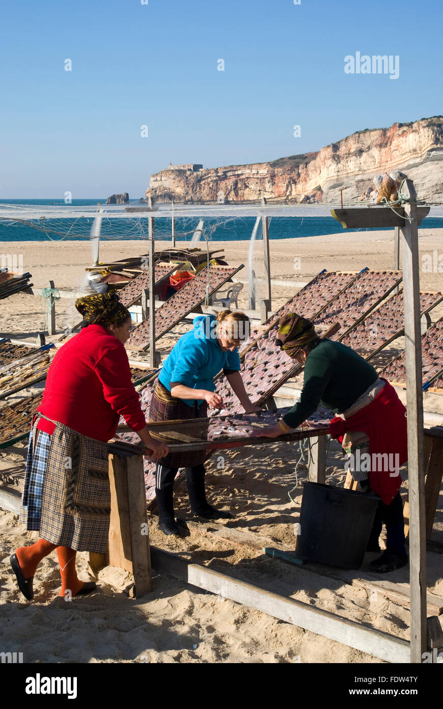 Portuguese women drying fish on the beach Stock Photo - Alamy