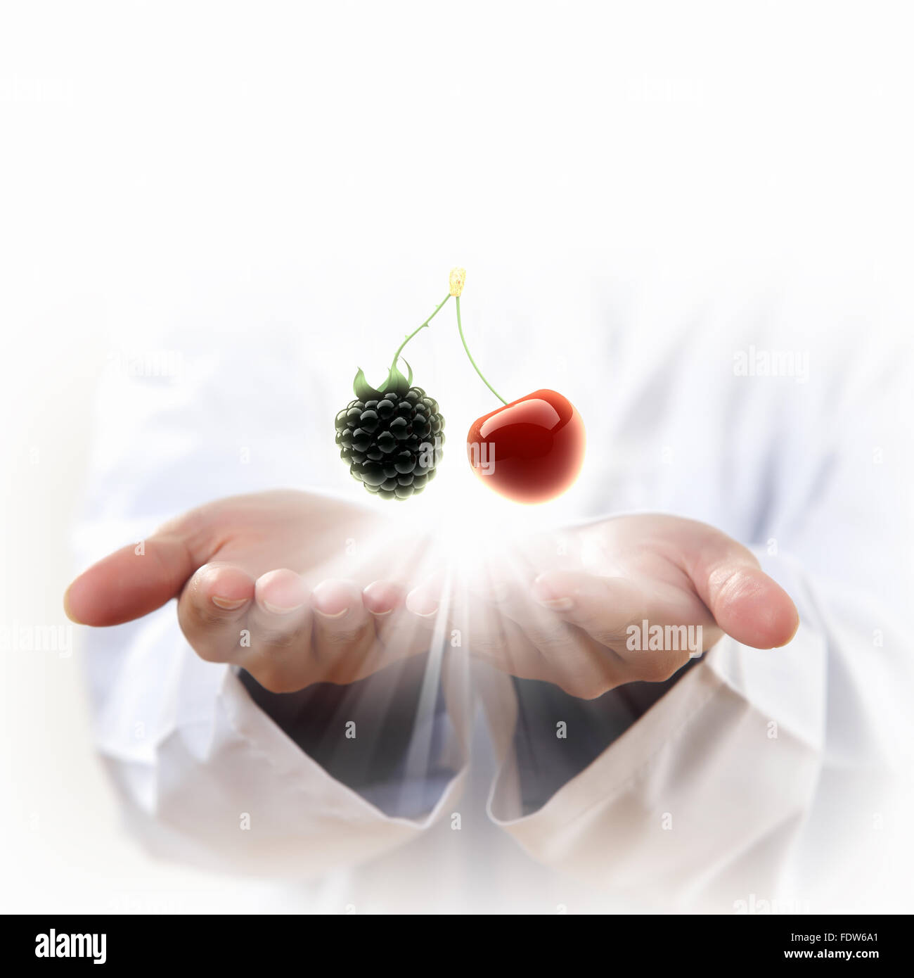 Red berries in hand hi-res stock photography and images - Alamy