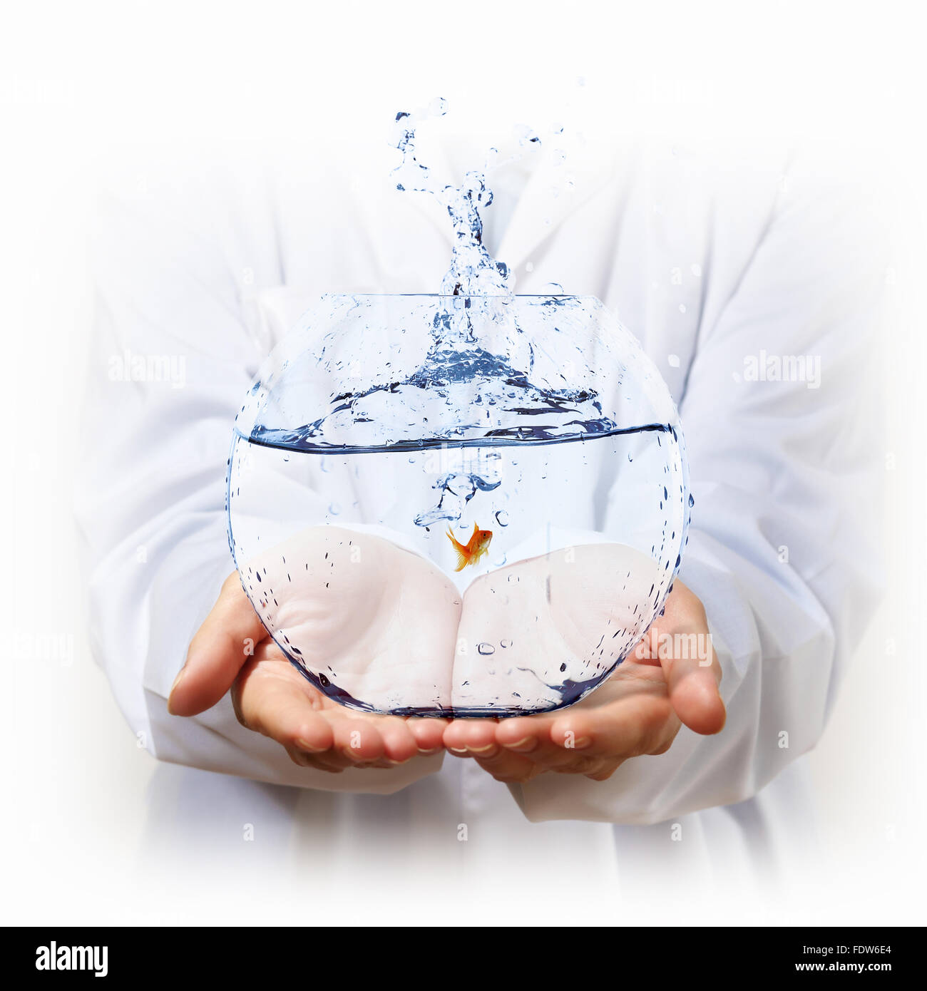 Goldfish bowl glass hi-res stock photography and images - Alamy