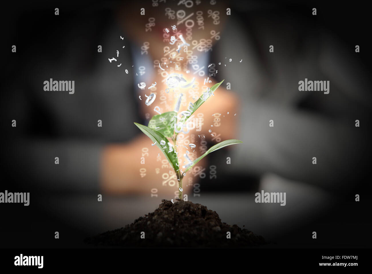 Sprout from coins money growth hi-res stock photography and images - Alamy
