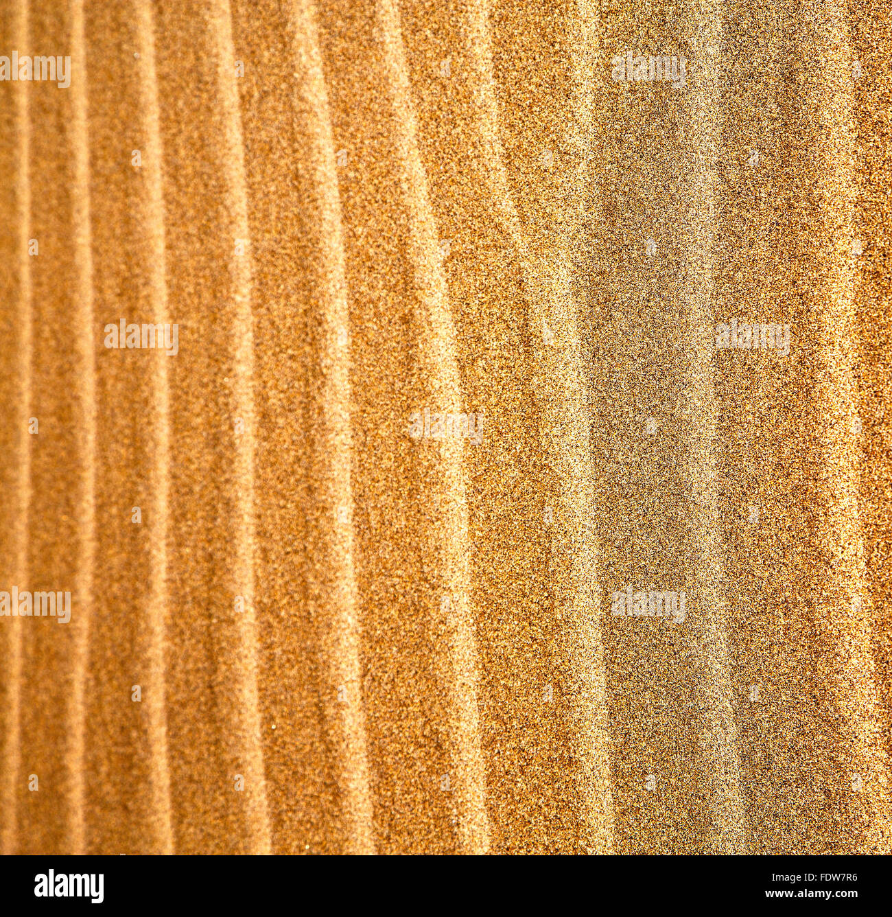 in lanzarote spain texture abstract of a dry sand and the beach Stock ...