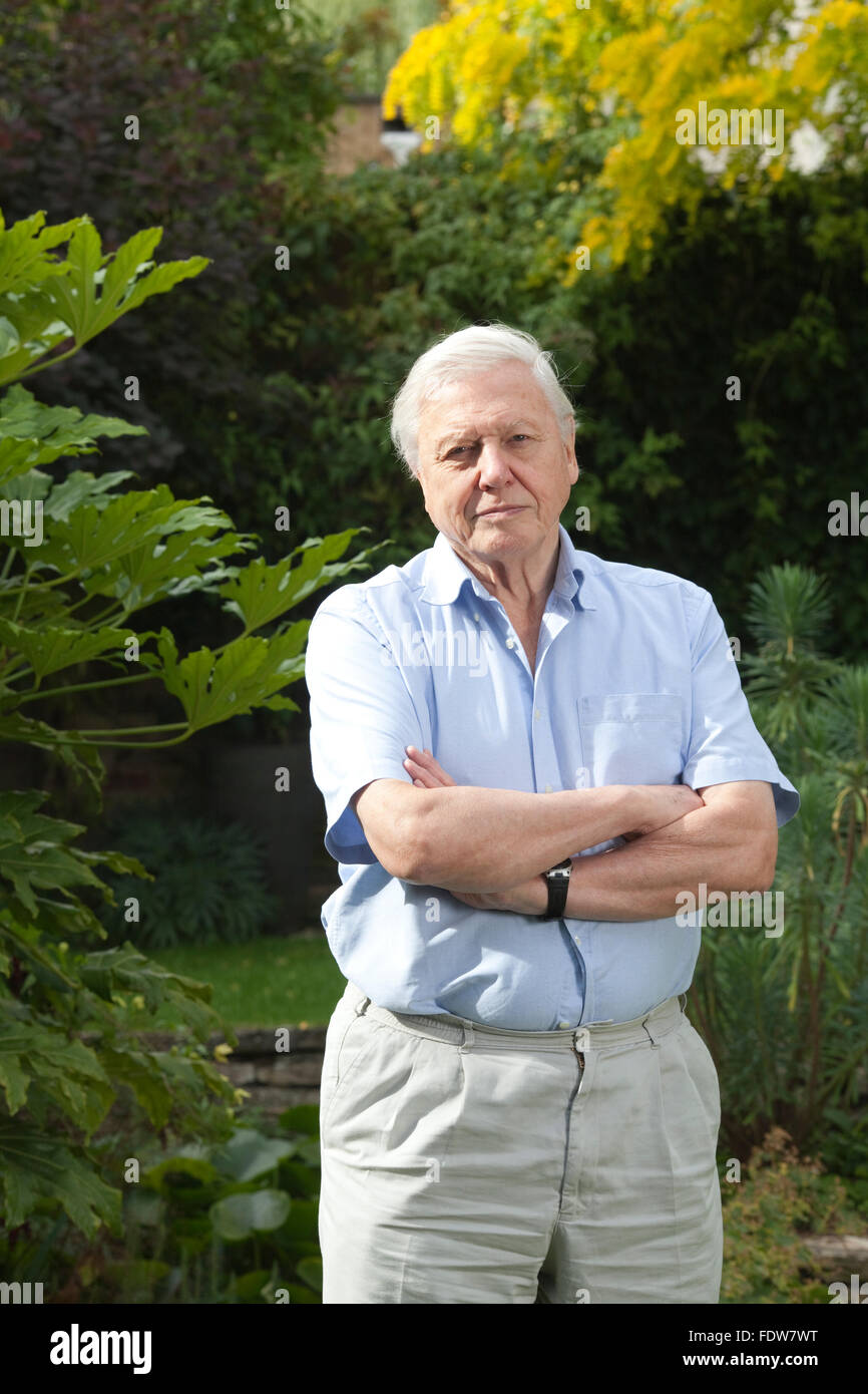 David attenborough hi-res stock photography and images - Alamy