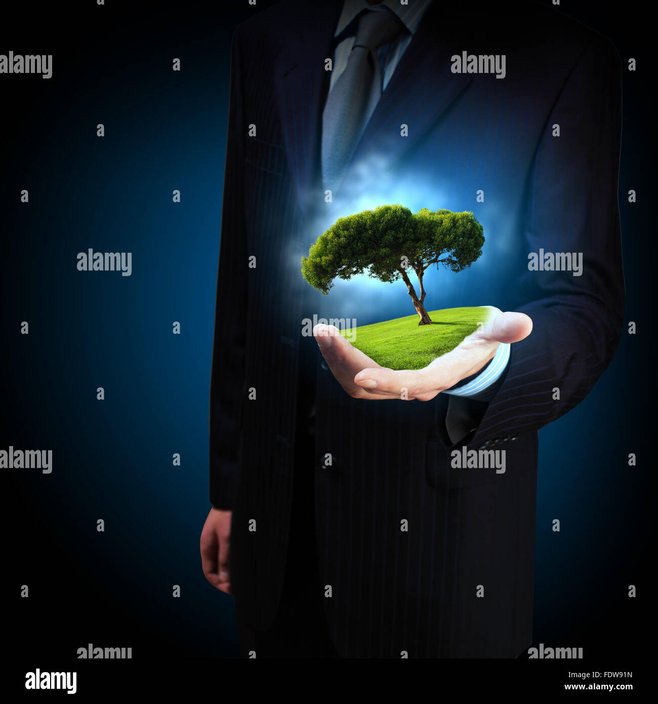A green tree in the hand of a businessman Stock Photo - Alamy