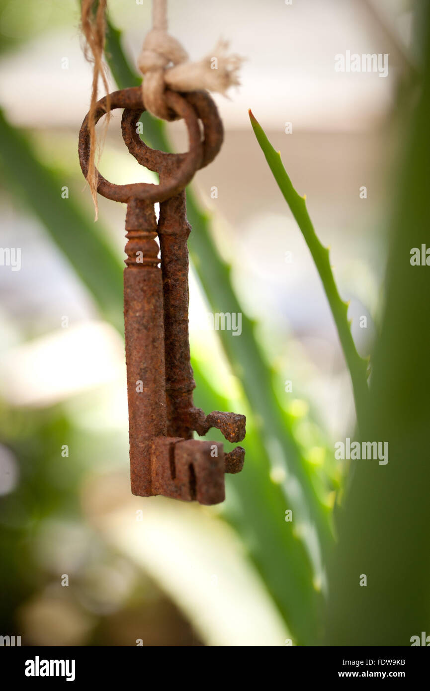 Rusty old keys hanging from string Stock Photo - Alamy