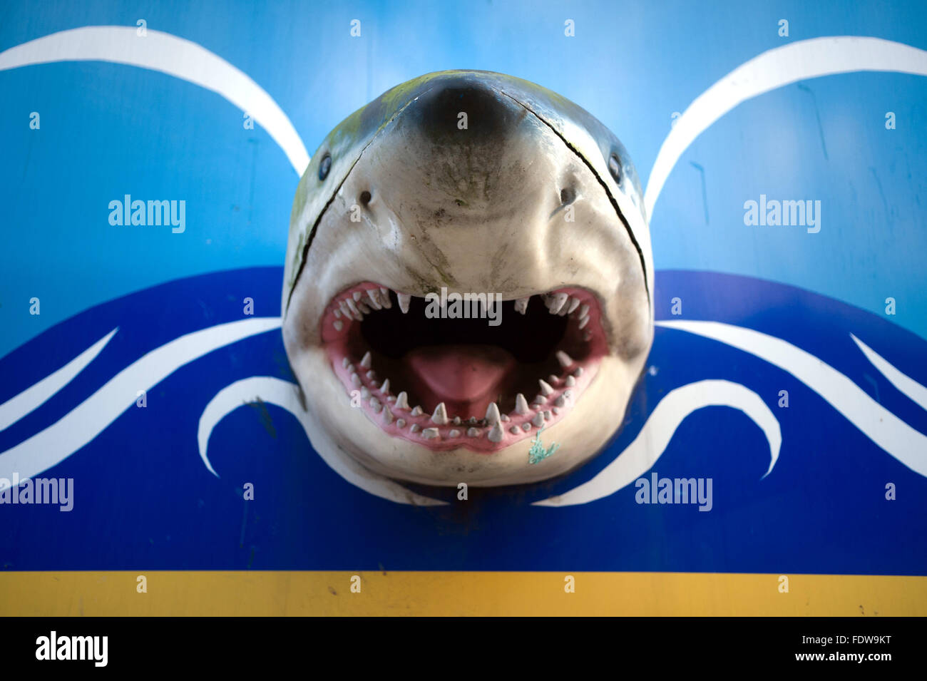 Model sharks head on shop front Stock Photo - Alamy