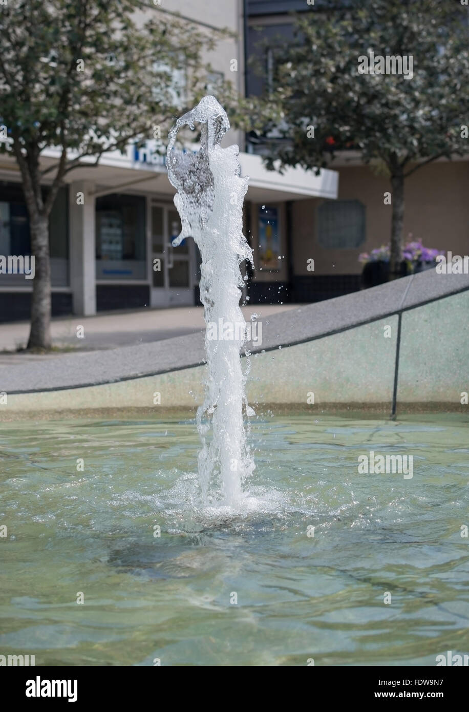 Blackeberg hi-res stock photography and images - Alamy