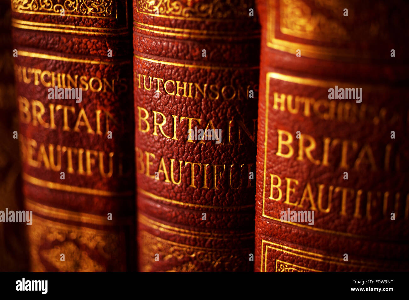 Spines of antique volumes of Hutchinson 'Britain Beautiful' books Stock ...