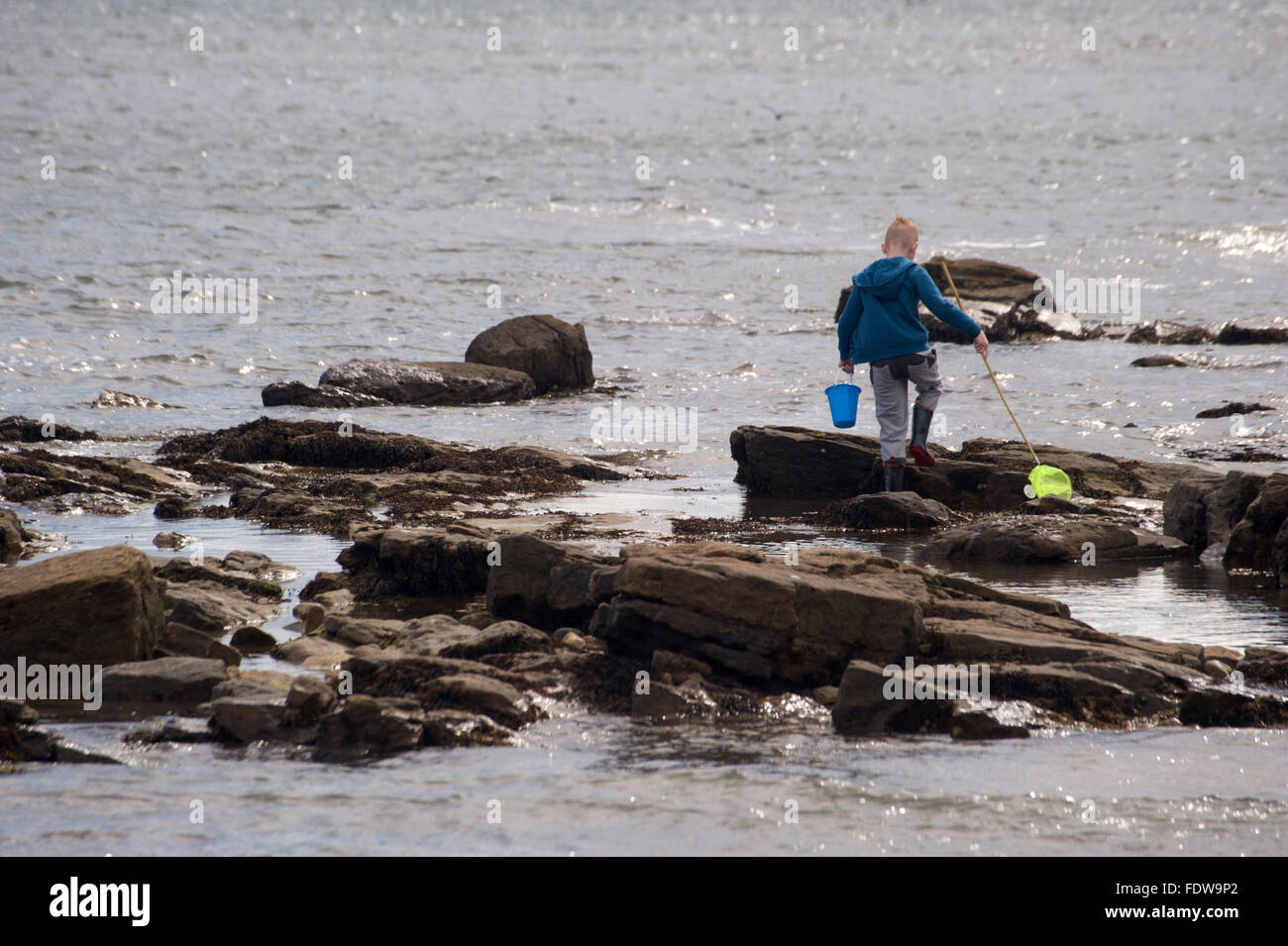 Rock pooling england hi-res stock photography and images - Alamy