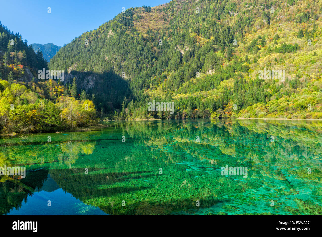 Colorful Lake, Jiuzhaigou National Park, Sichuan Province, China ...