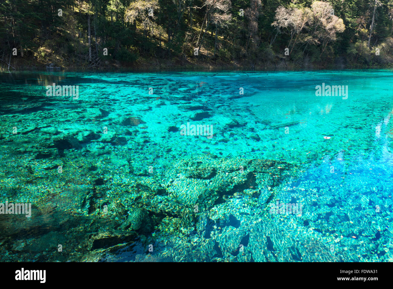 Five-Coloured pool, Jiuzhaigou National Park, Sichuan Province, China ...