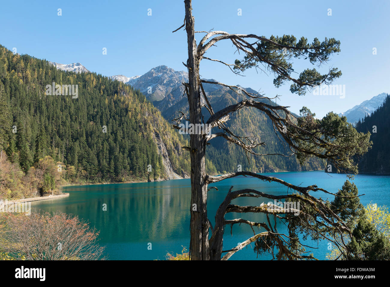 Long Lake Jiuzhaigou High Resolution Stock Photography and Images - Alamy