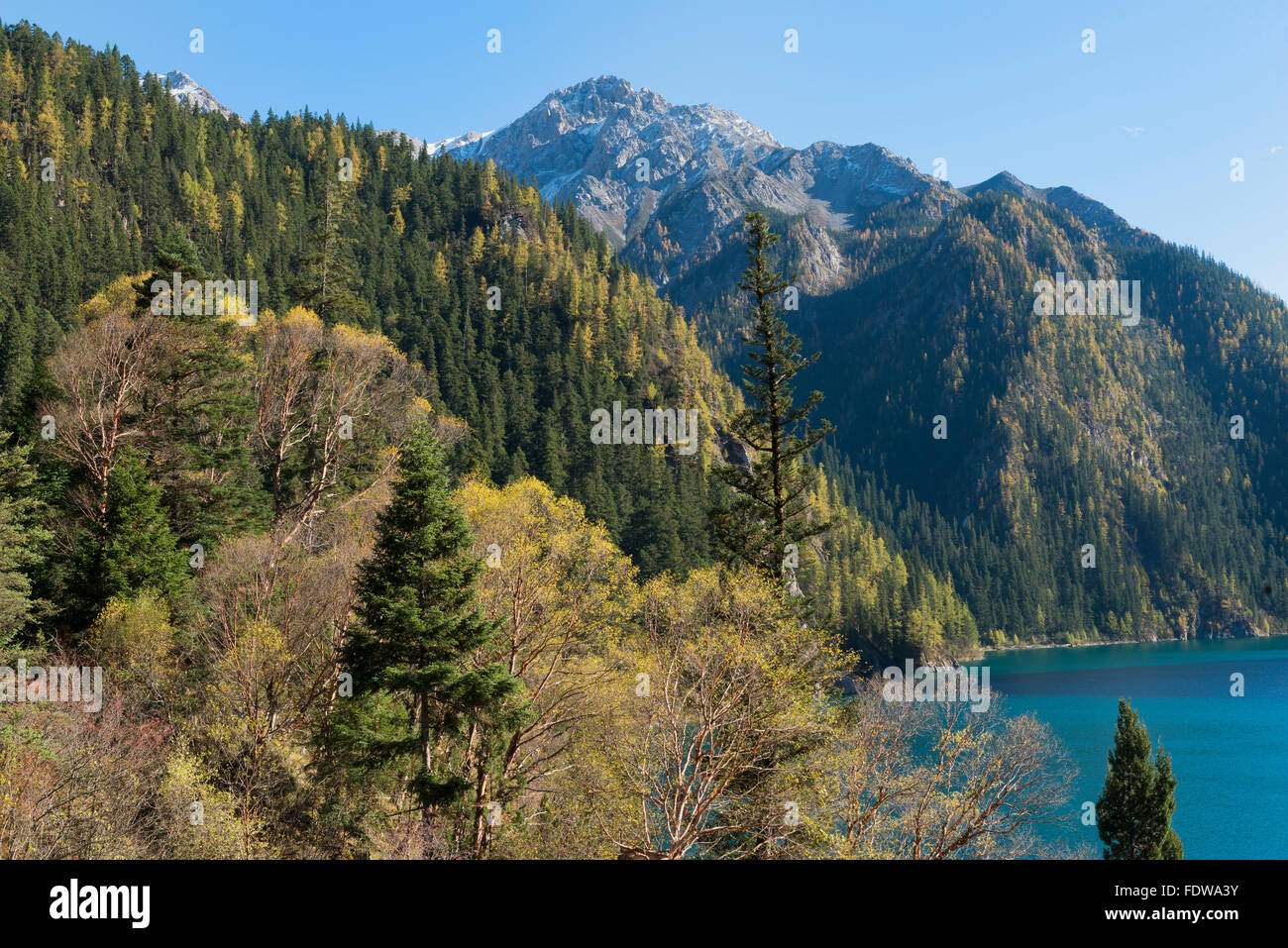 Landscape mountains forests villages hi-res stock photography and ...