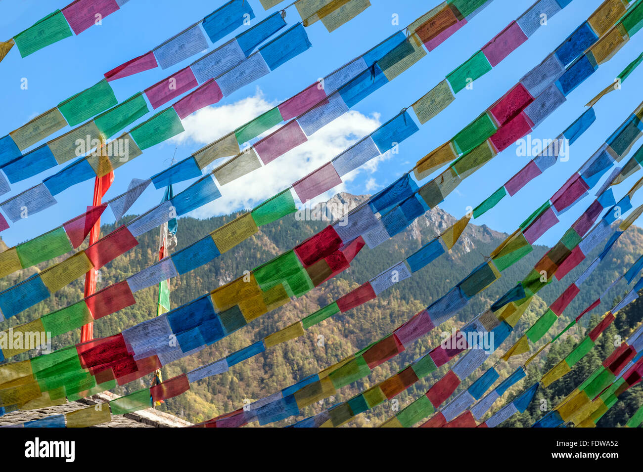 Prayers flags at Shuzheng Tibetan village, Jiuzhaigou National Park ...