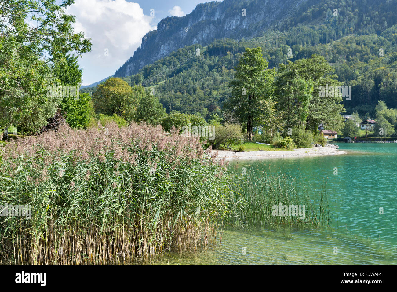 Mondsee lake hi-res stock photography and images - Alamy