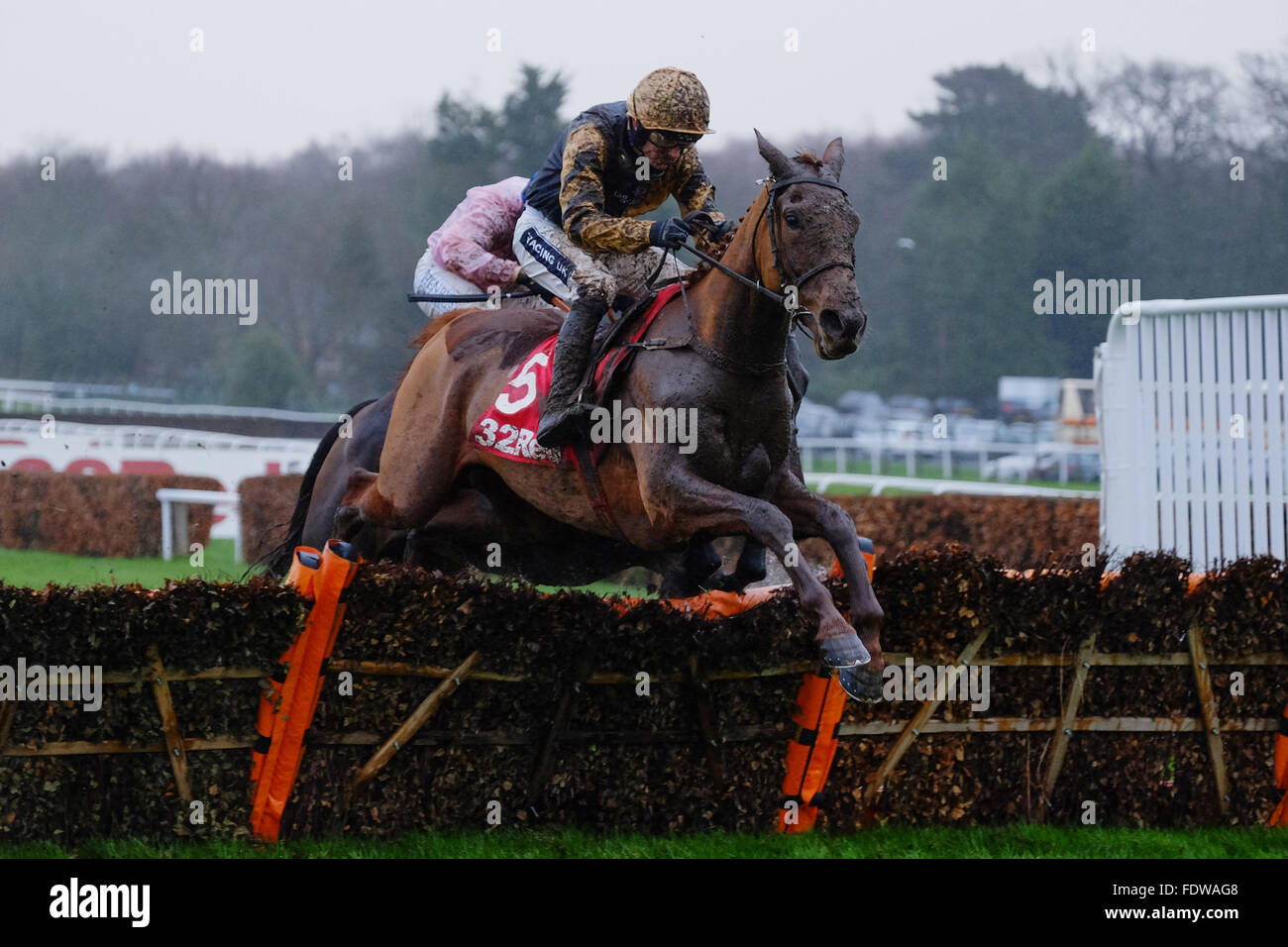 Ruby walsh hi-res stock photography and images - Alamy