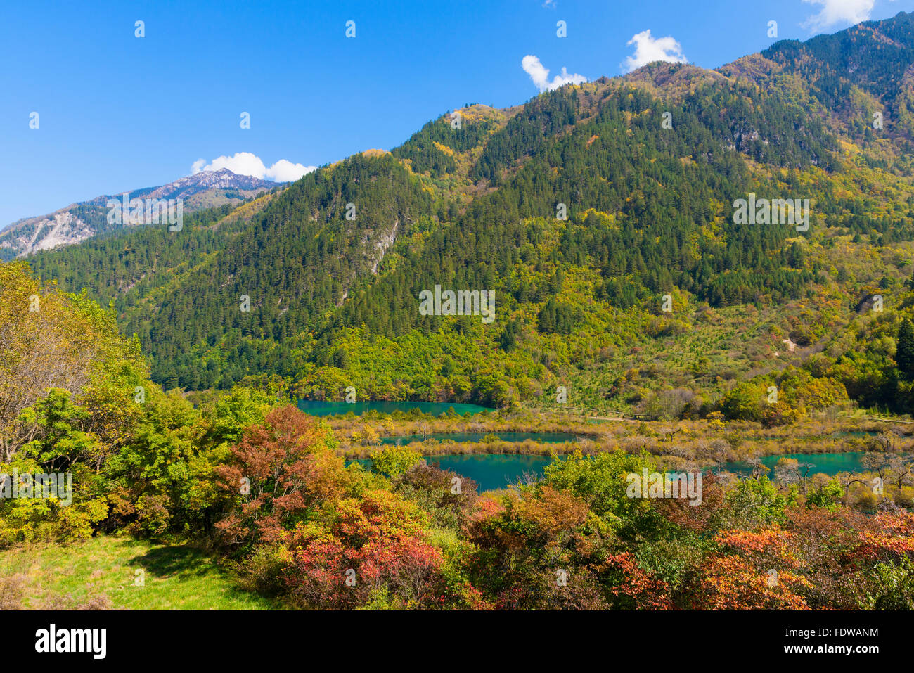 Colorful lake in jiuzhaigou hi-res stock photography and images - Alamy