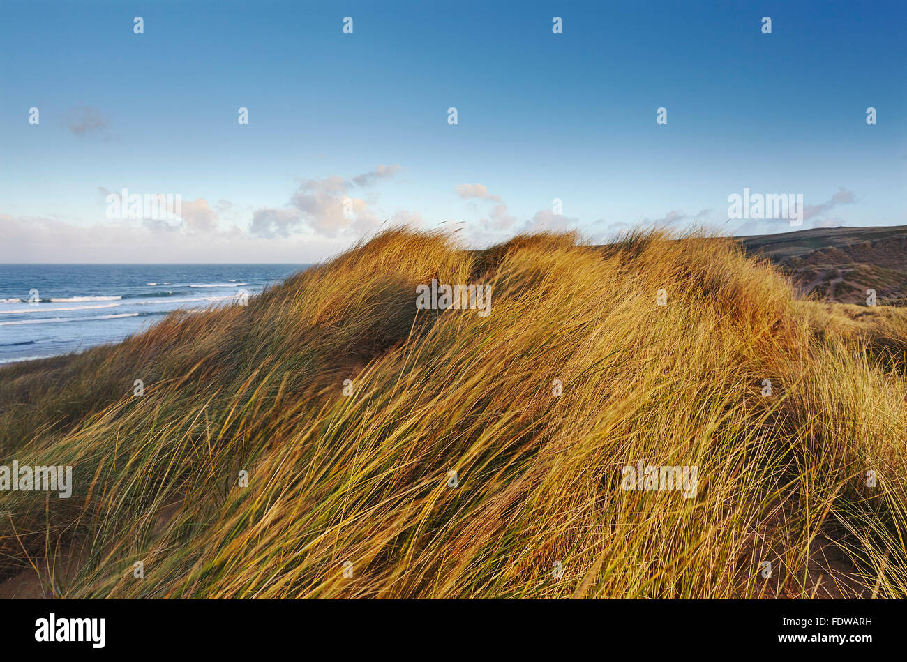 Sand dunes at Holywell, near Newquay, Cornwall, Great Britain Stock ...