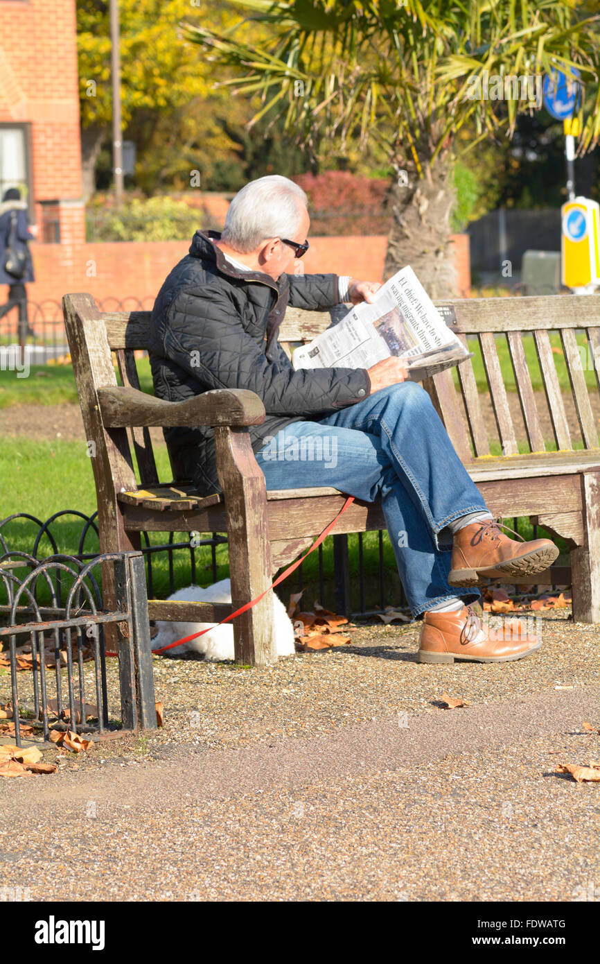 Man sat reading newspaper with dog lying beneath wooden seat in Bedford ...