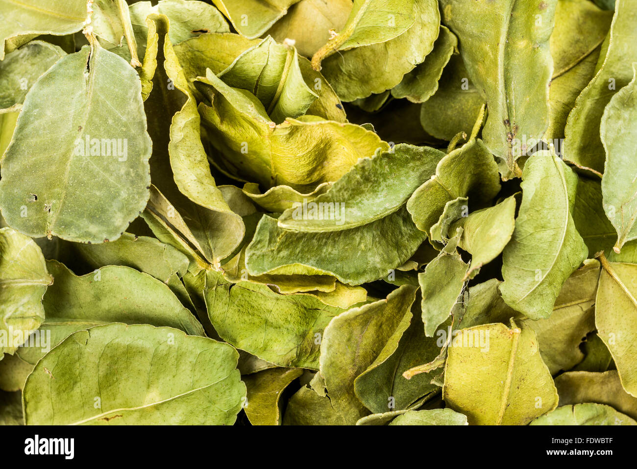 Dried Kaffir Lime Leaves spice dry dried cake Citrus hystrix Baking ...