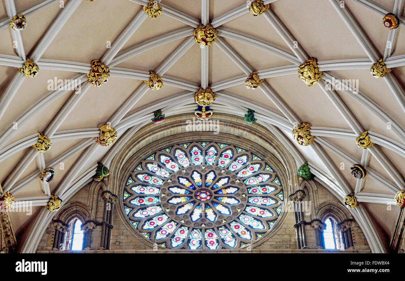 Rose window in York Minster and ceiling detail Stock Photo - Alamy