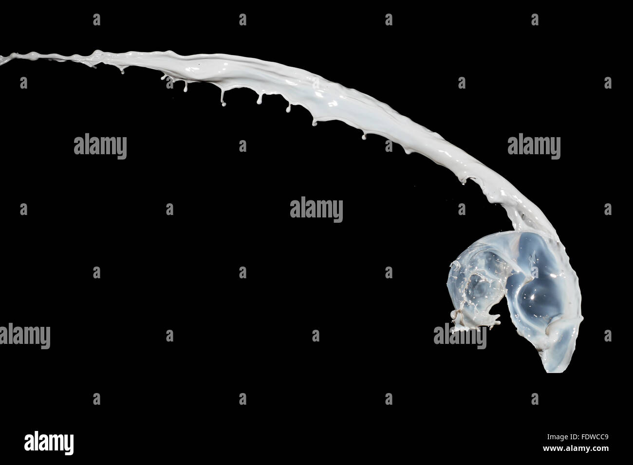 White milk splash isolated on black background Stock Photo - Alamy