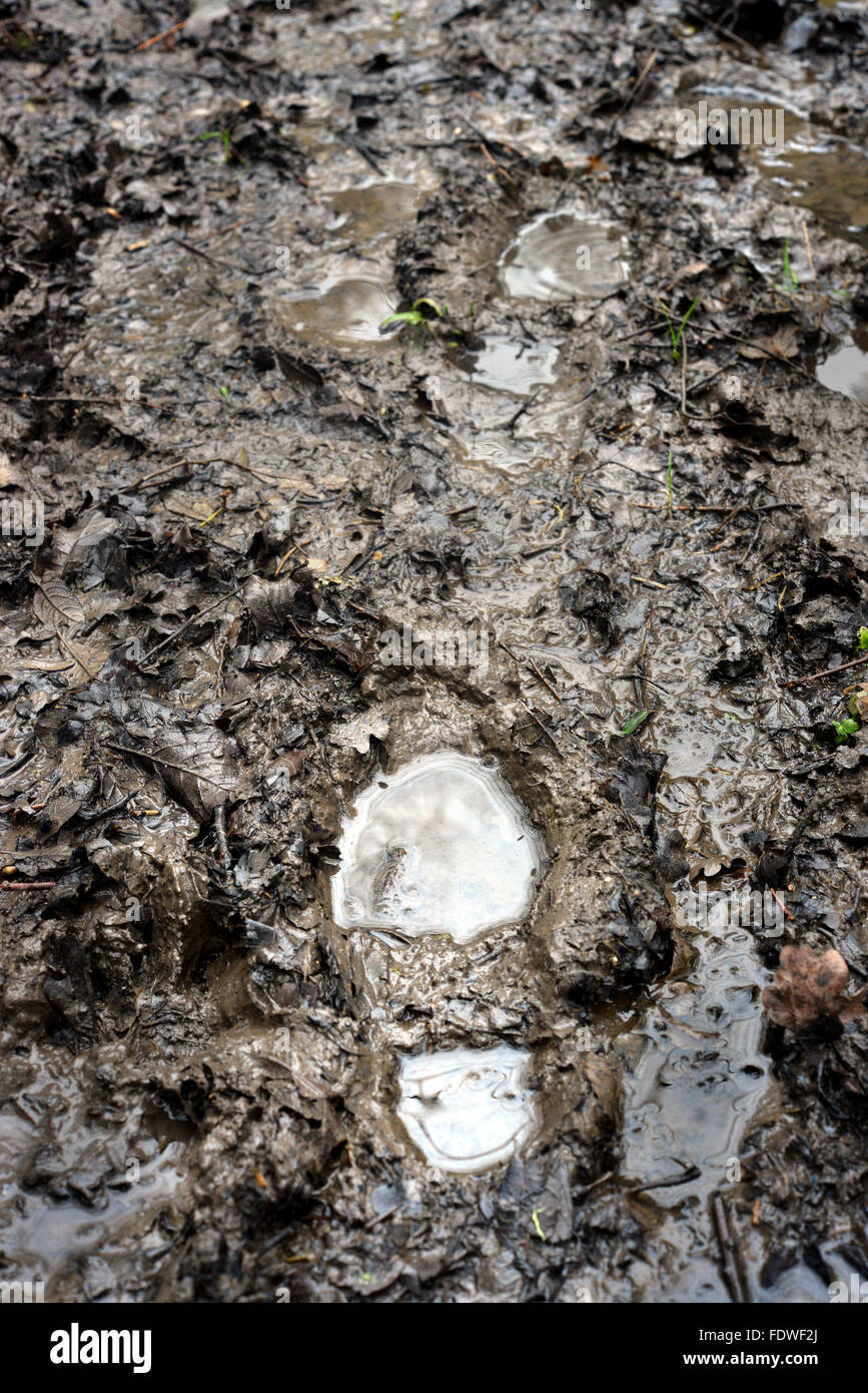 Footprint mud hi-res stock photography and images - Alamy