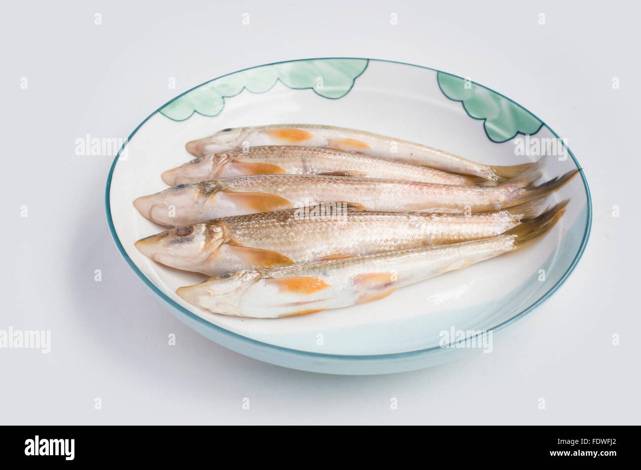 Fish disk hi-res stock photography and images - Alamy