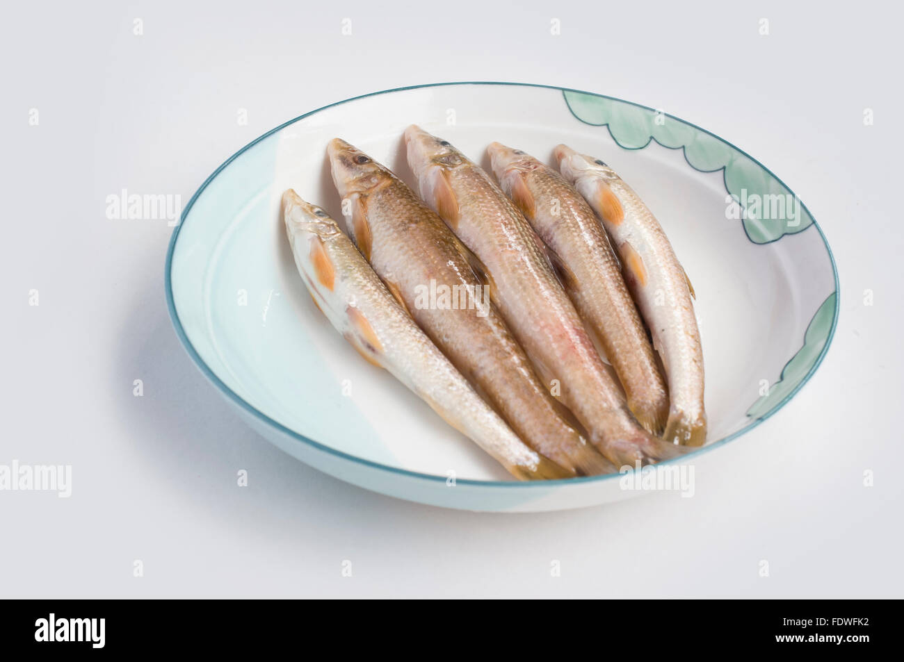 Fish disk hi-res stock photography and images - Alamy