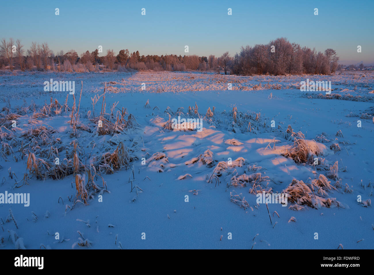 Beautiful sparkling in sun hi-res stock photography and images - Alamy