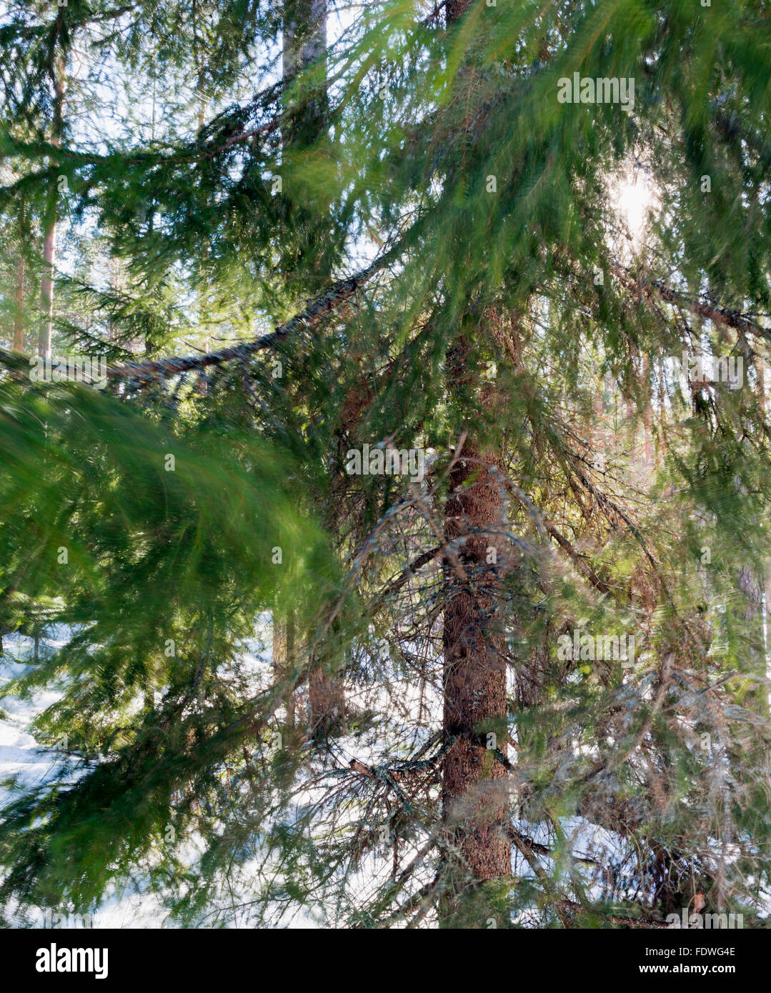 Windy setting hi-res stock photography and images - Alamy