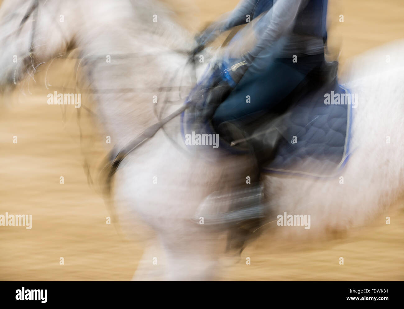 Hobby horse riding hi-res stock photography and images - Alamy