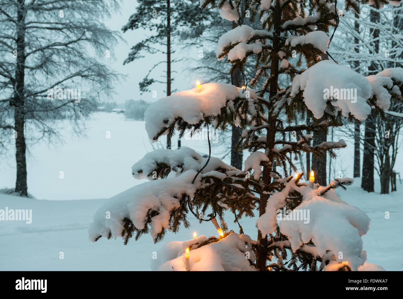 Christmas tree sweden hi-res stock photography and images - Alamy