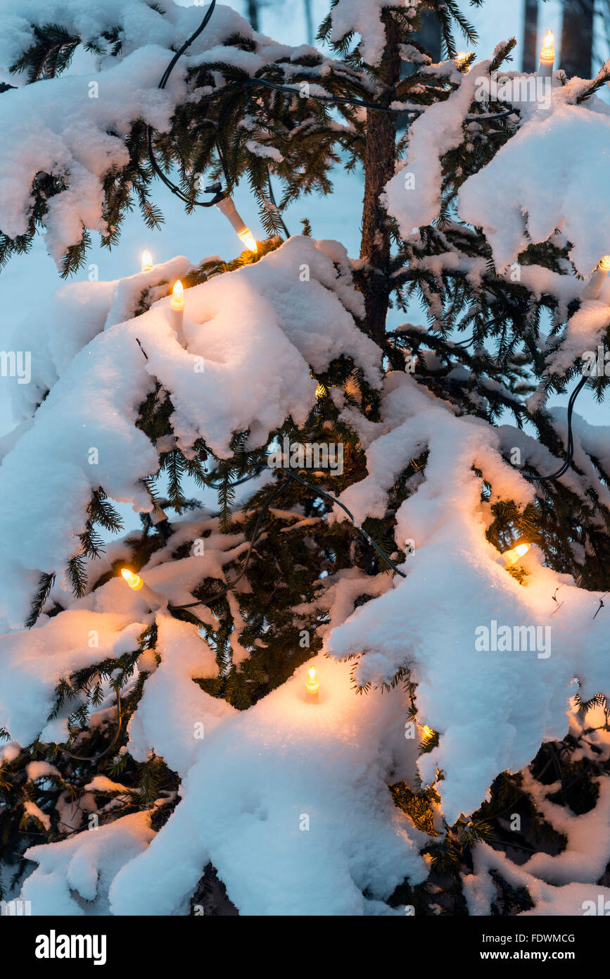Outdoor Christmas tree, Sweden Stock Photo - Alamy