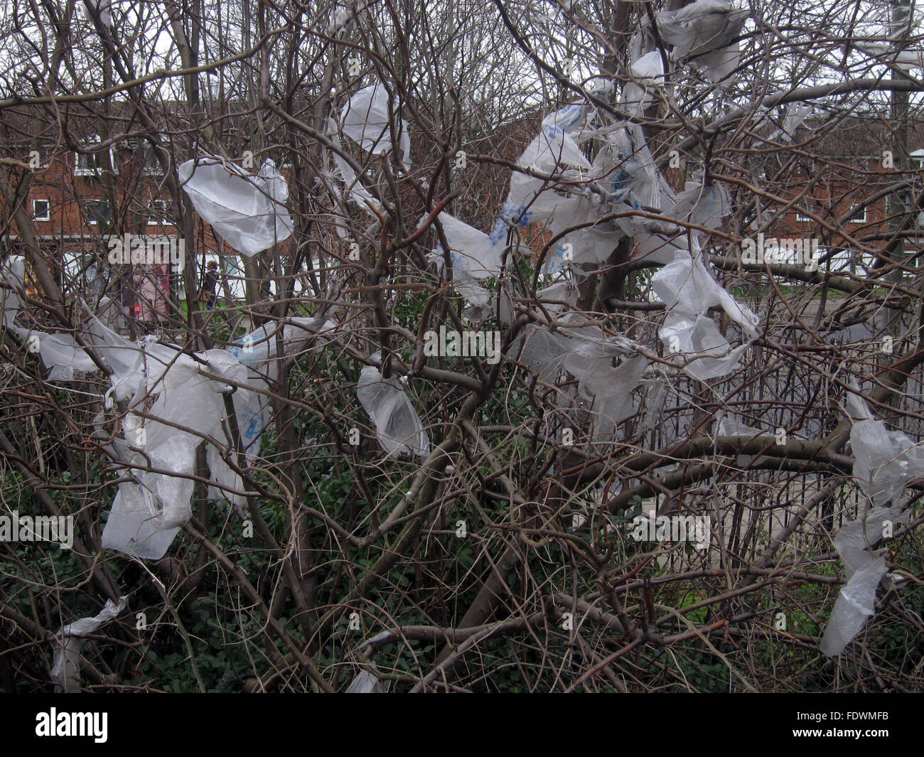 Plastic caught in branches hi-res stock photography and images - Alamy