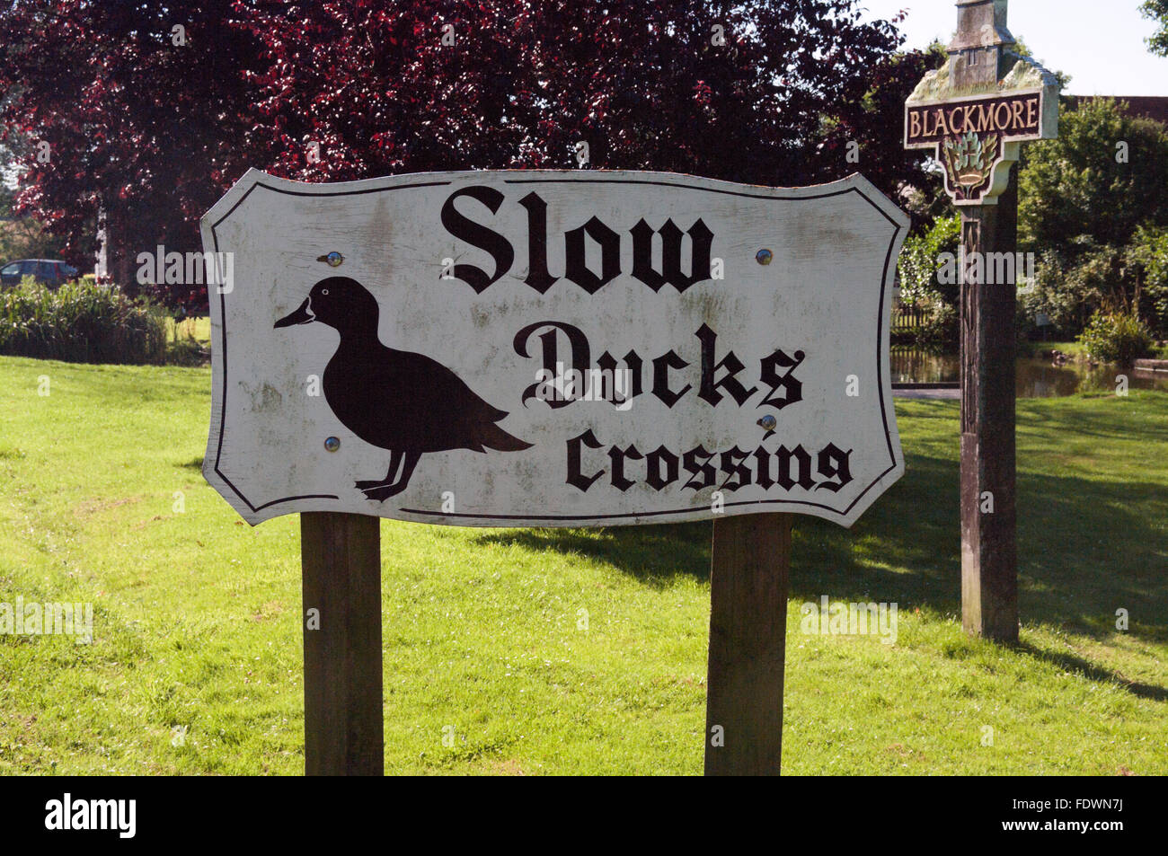Slow Ducks Crossing Sign, Blackmore, Essex Stock Photo - Alamy