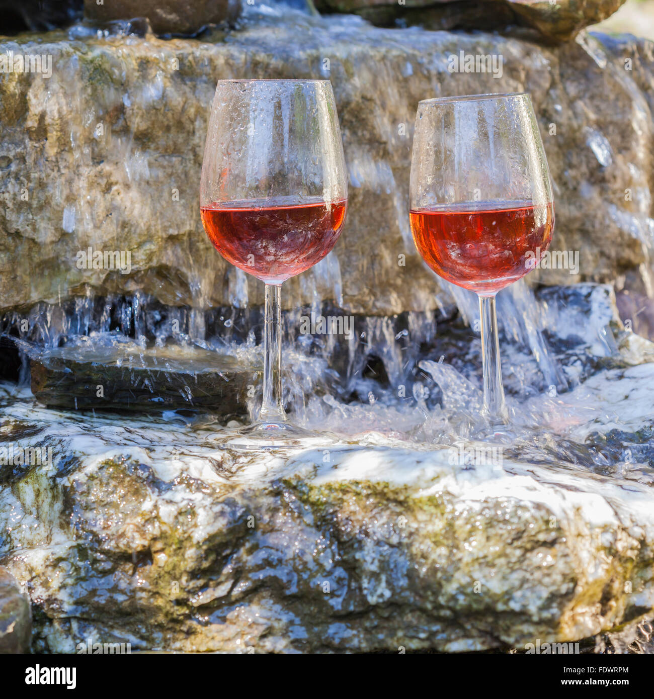 Summer garden rose wine hi-res stock photography and images - Alamy