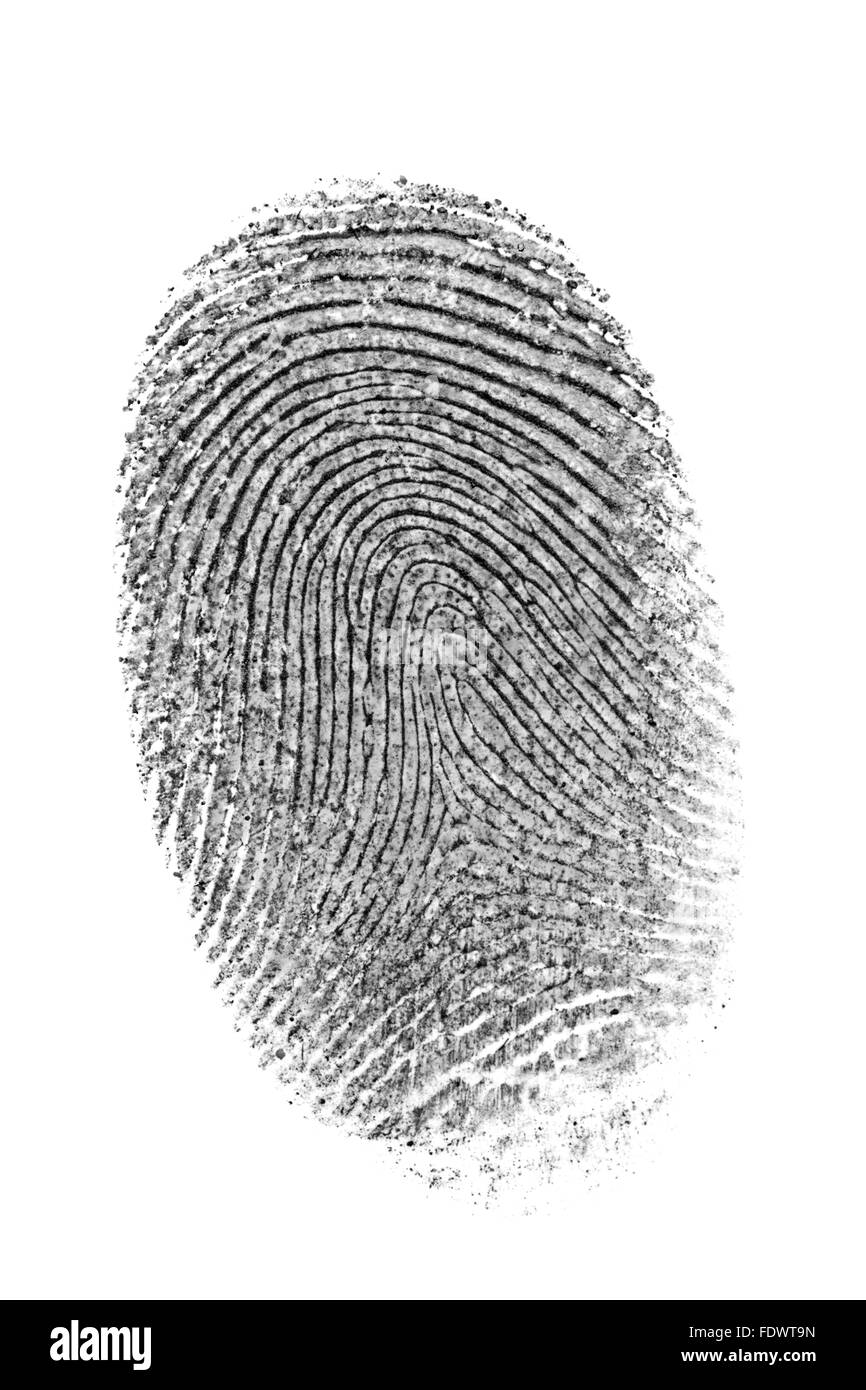 Finger Print Cut Out Stock Images & Pictures - Alamy