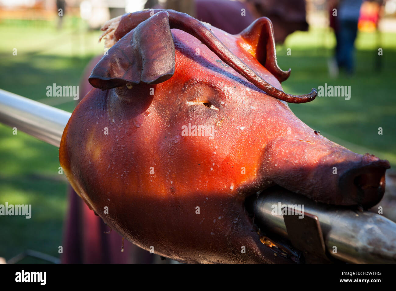 Pig Head On A Stick