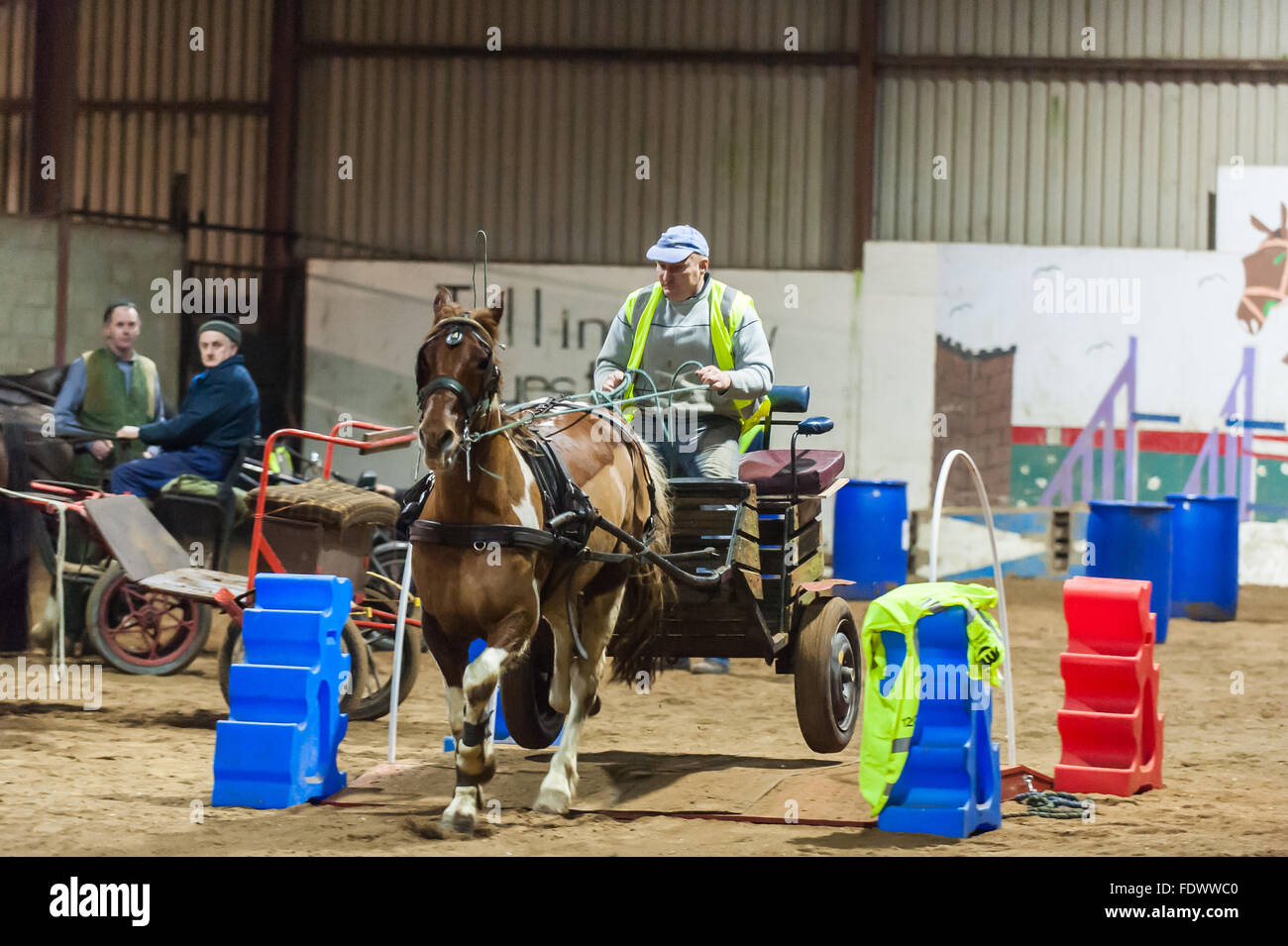 Horse trap hi-res stock photography and images - Alamy