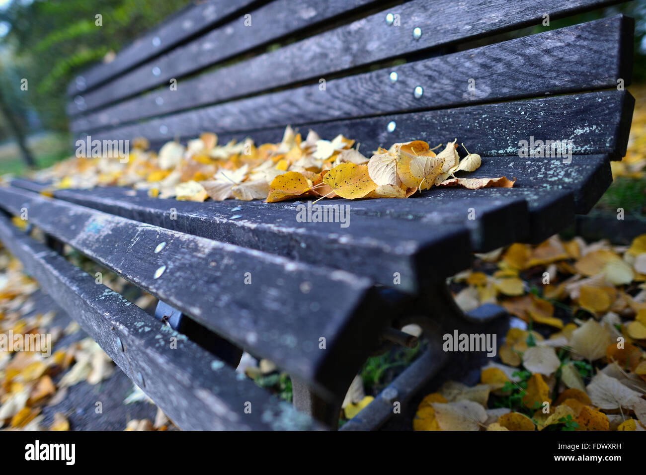 Hannover, Germany, the fall in Hannover Stock Photo - Alamy