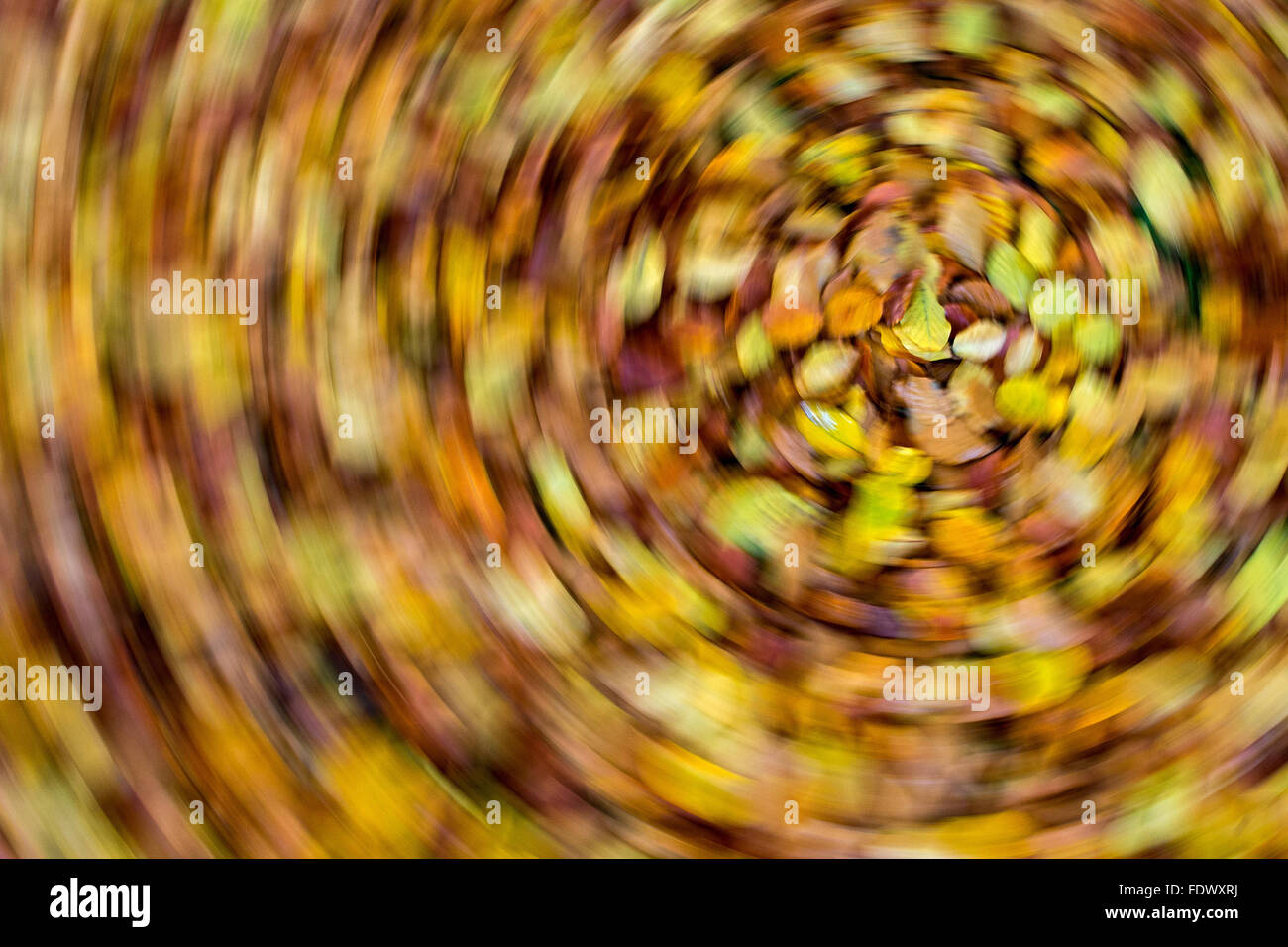 Symbolic image in germany hi-res stock photography and images - Alamy