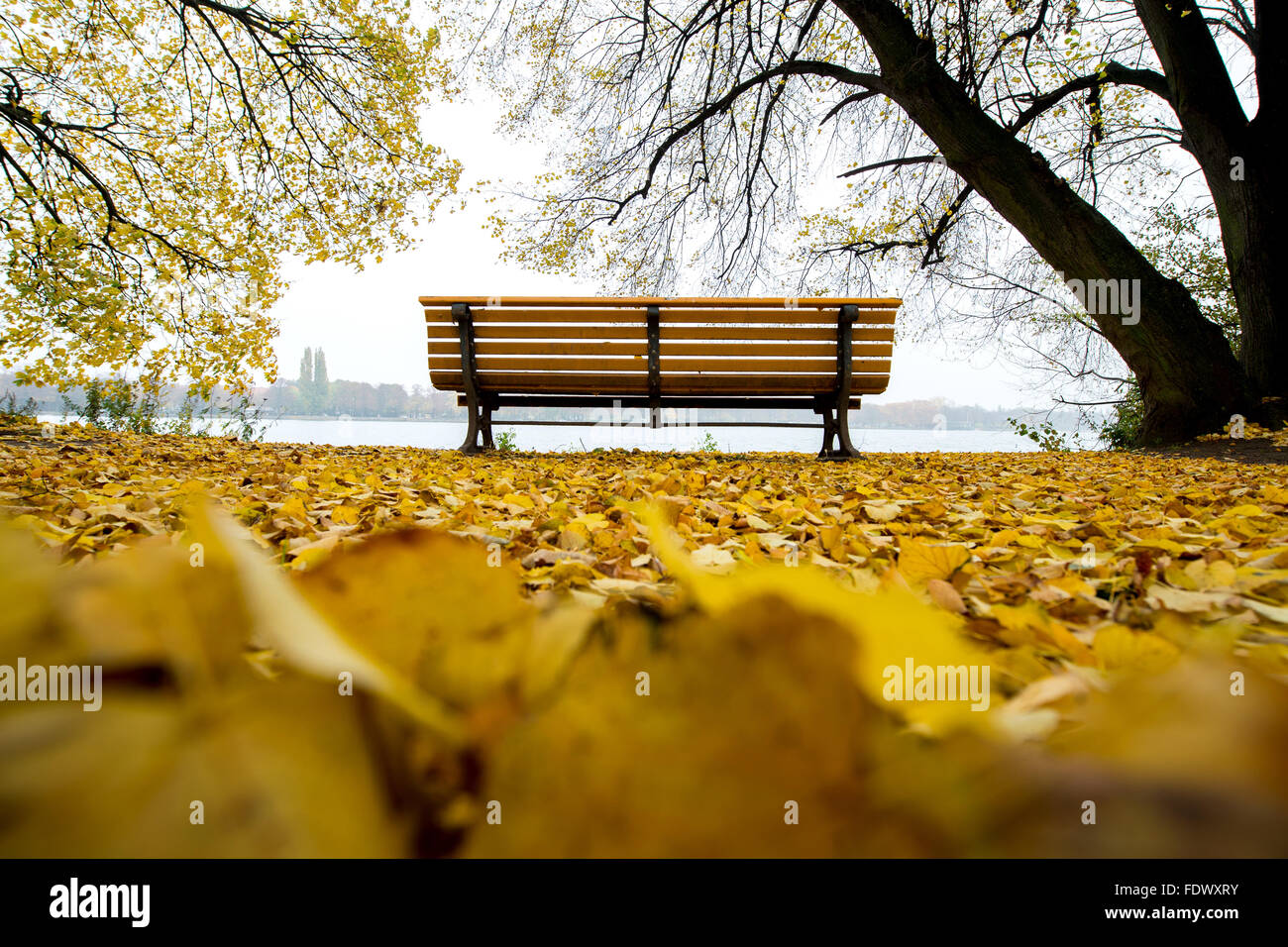 Hannover, Germany, the fall in Hannover Stock Photo - Alamy