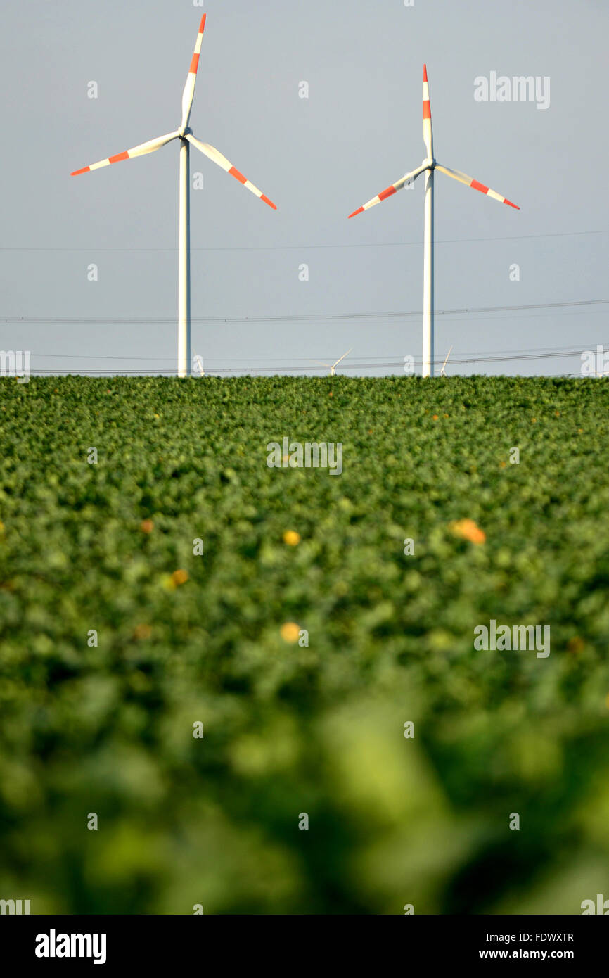 Sarstedt, Germany, Windraeder Stock Photo - Alamy