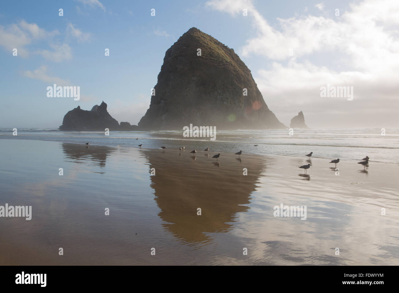 Haystack rock, Cannon Beach Oregon USA Stock Photo - Alamy